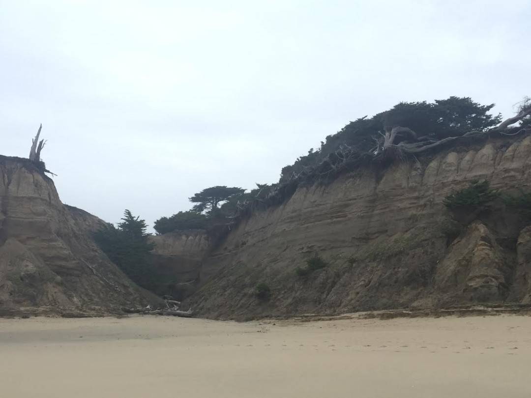 Half Moon Bay Hike - Ritz Carlton Coastside Path