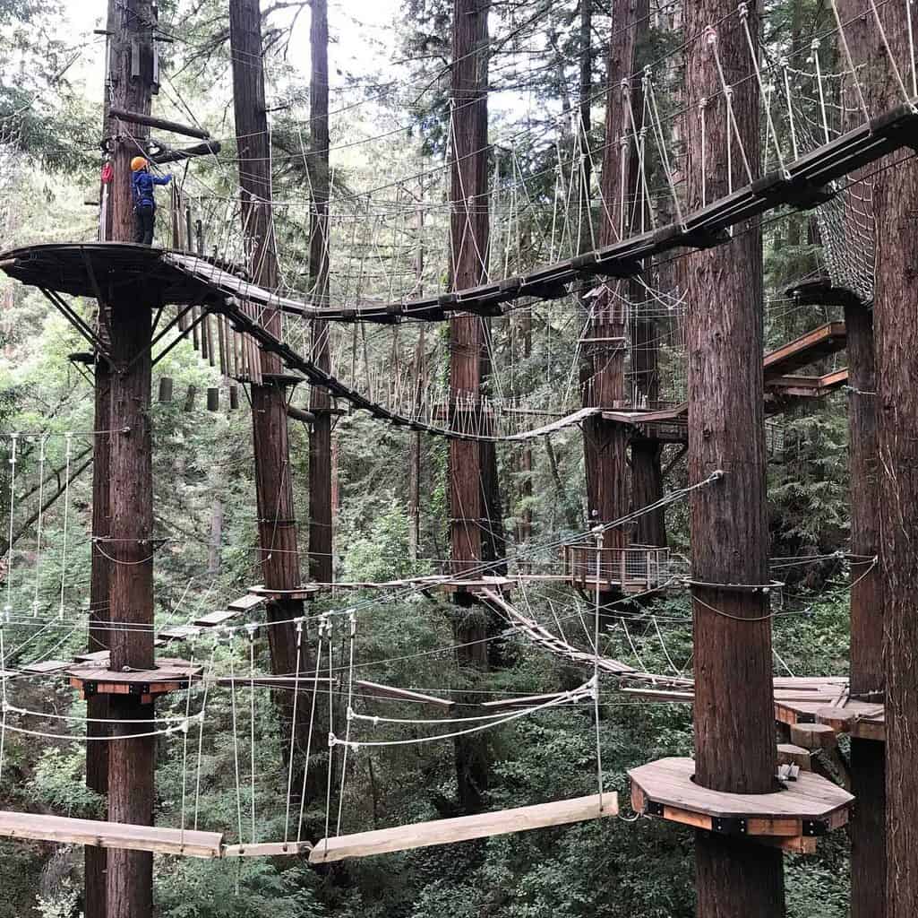 mount-hermon-adventure-redwood-canopy-tours-zipline-fun-2 - Go Hike It