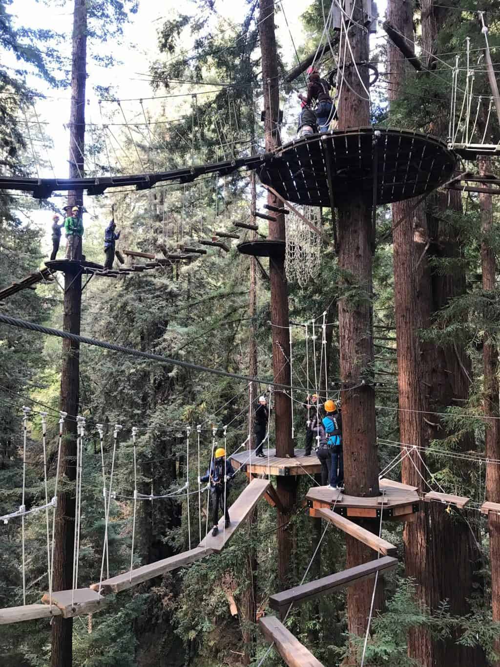 mount-hermon-adventure-redwood-canopy-tours-zipline-fun-24 - Go Hike It