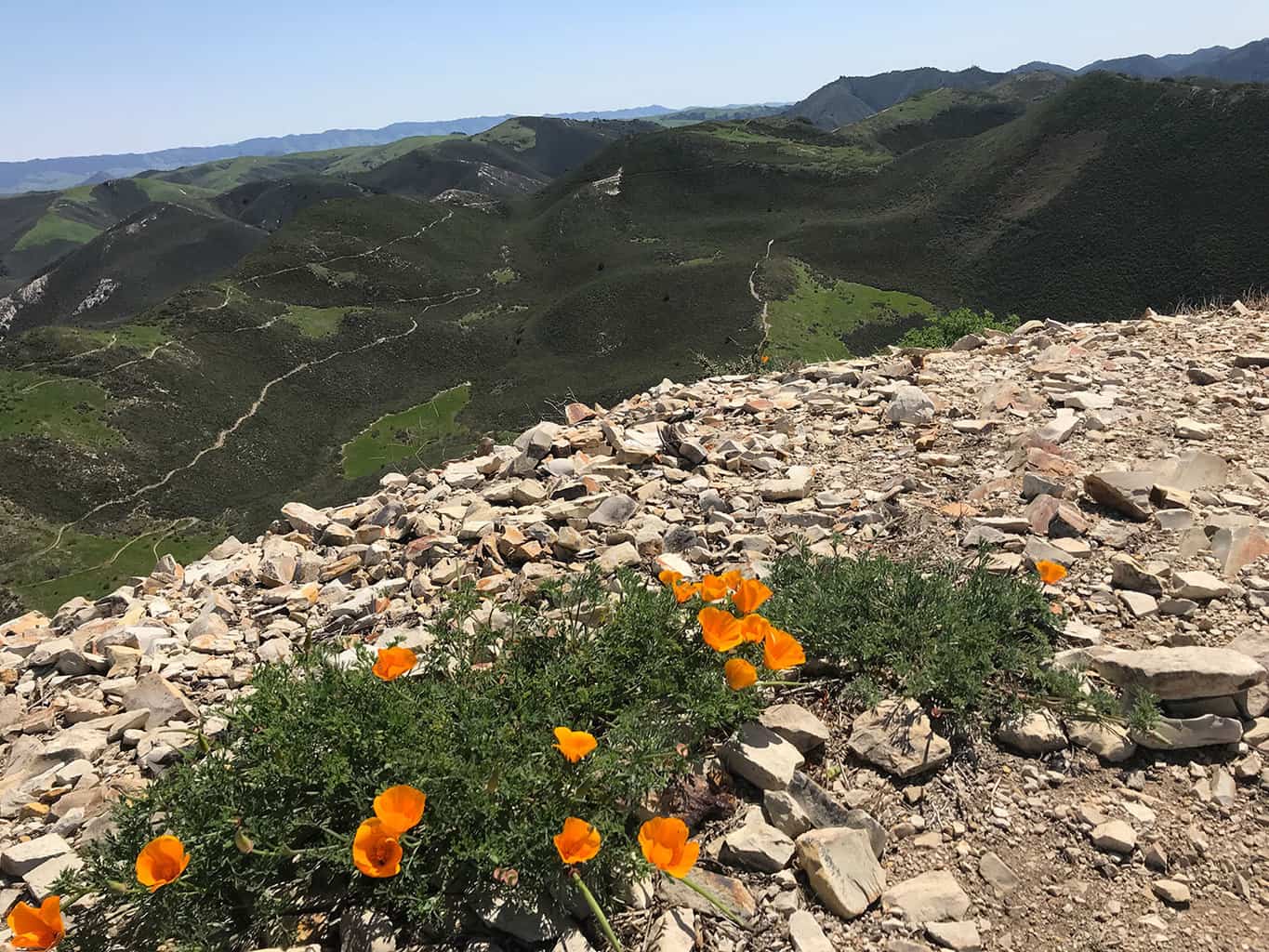 montana-de-oro-state-park-hiking-trail-1 - Go Hike It